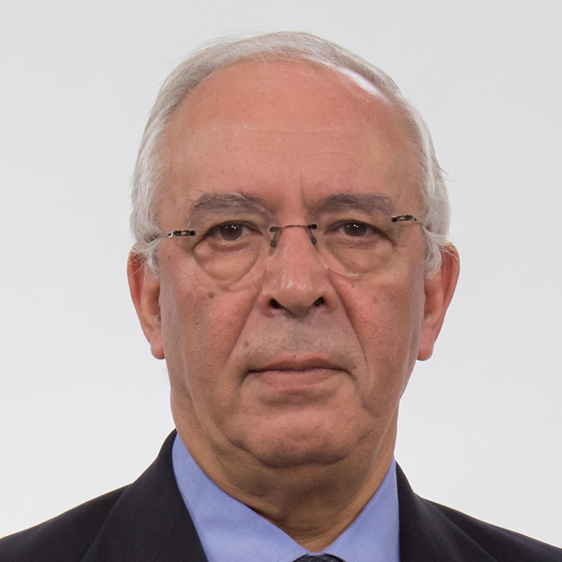 David Justino - NOVA FCSH