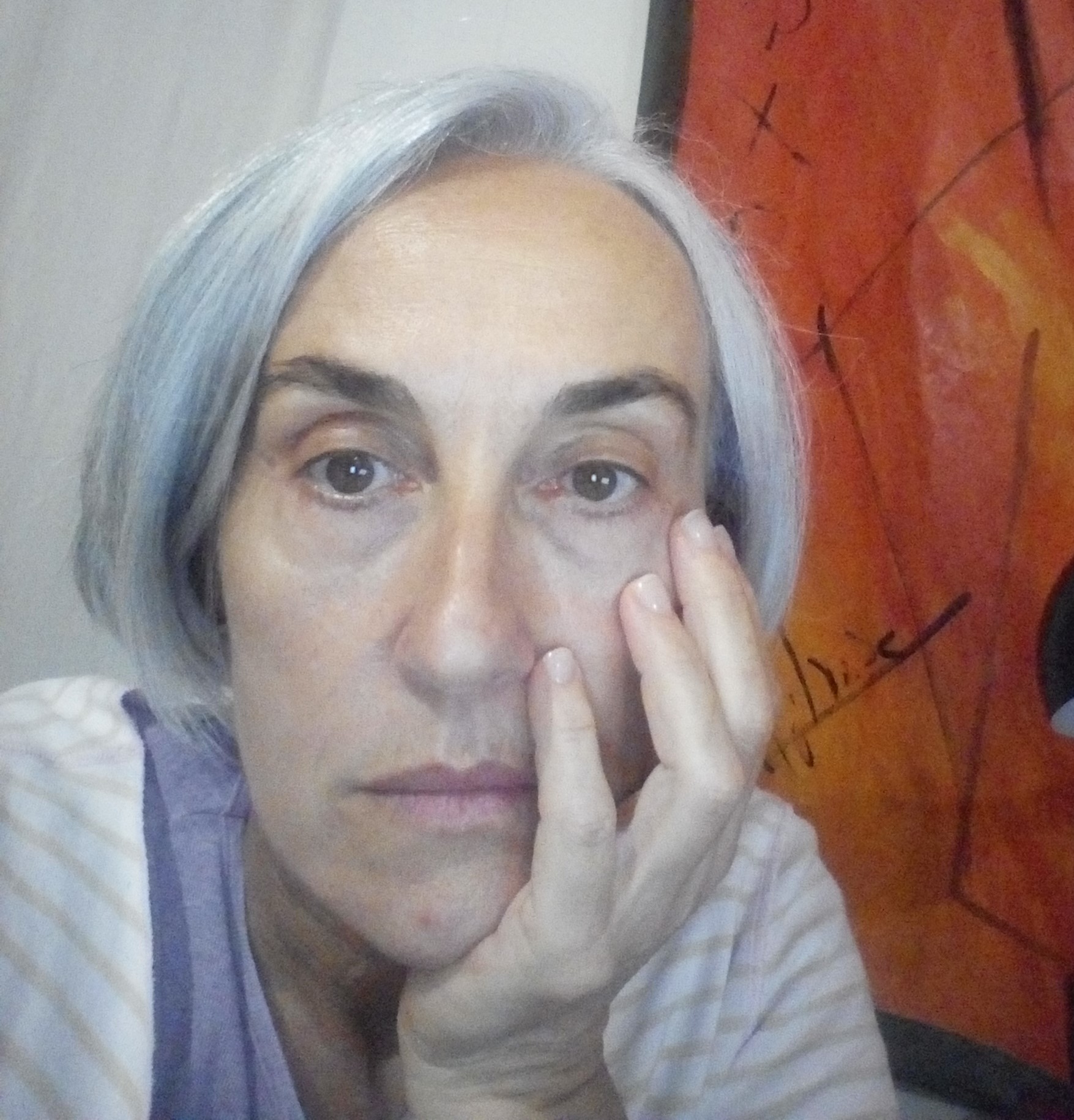 Raquel Henriques - NOVA FCSH